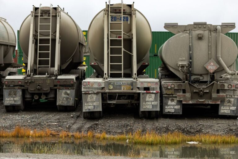 Oil giants bid $163 million in Trump's Alaska lease sale